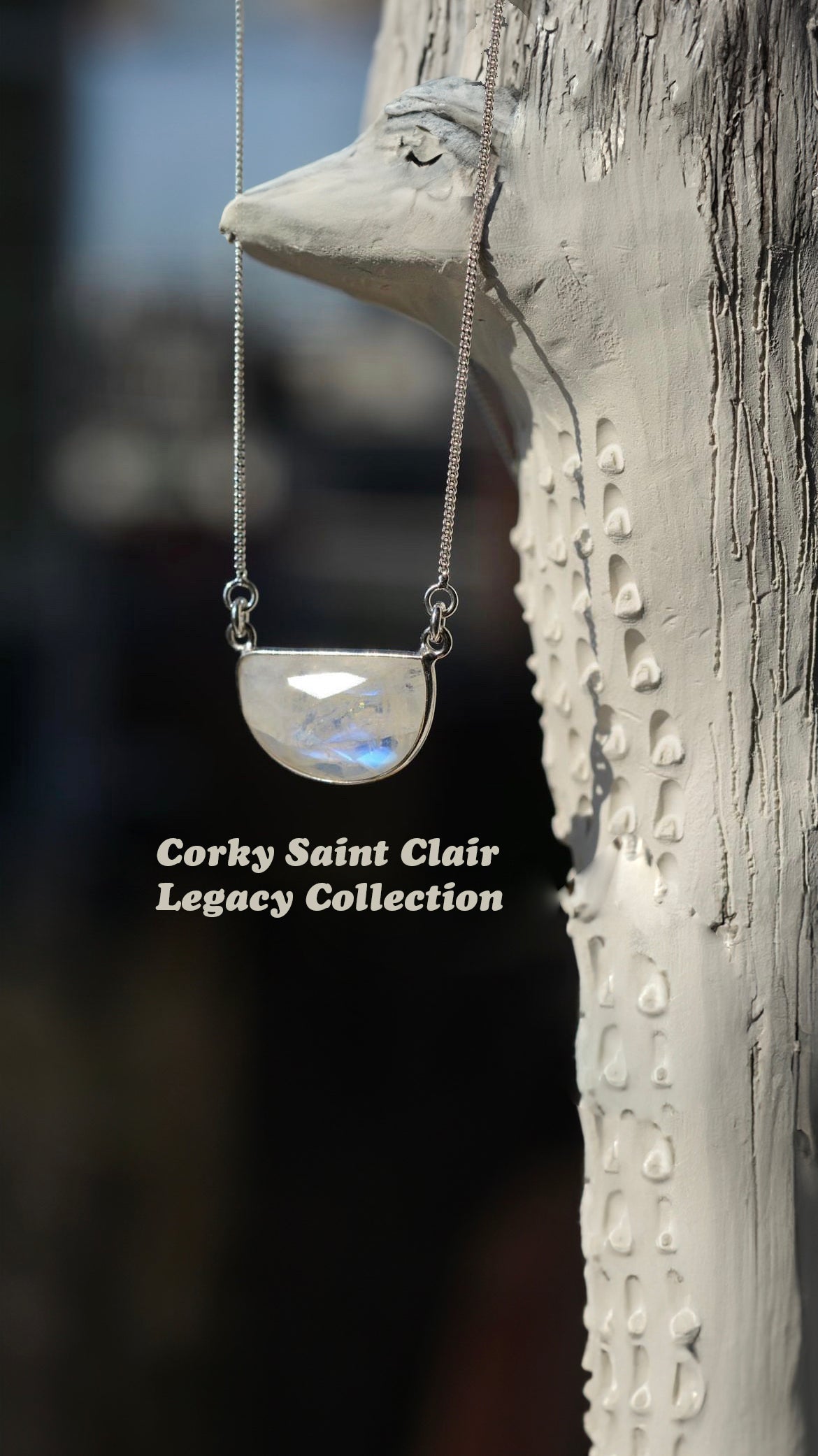 LEGACY – Corky Saint Clair Half Price Heaven